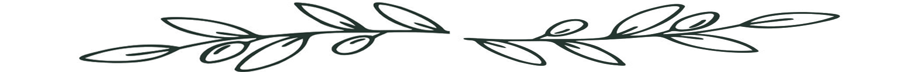 Olive Tree Ministry – Olive Tree Ministry